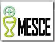 Encontro anual do MESCE | CFFB Conferência da Família Franciscana do Brasil