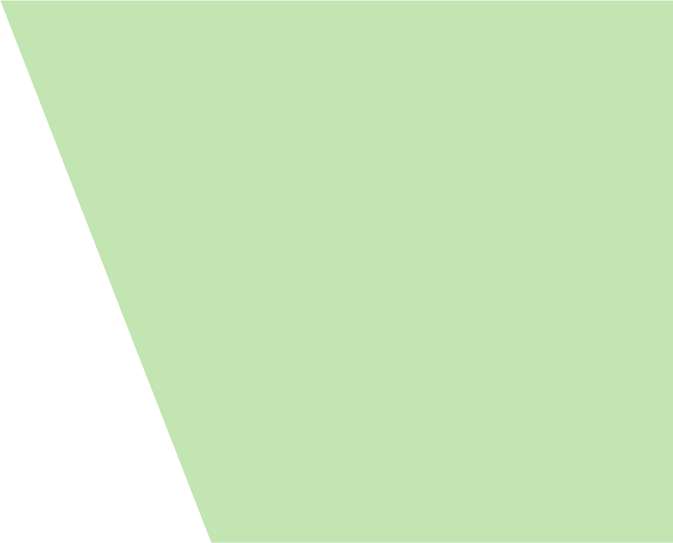 layer | CFFB Conferência da Família Franciscana do Brasil