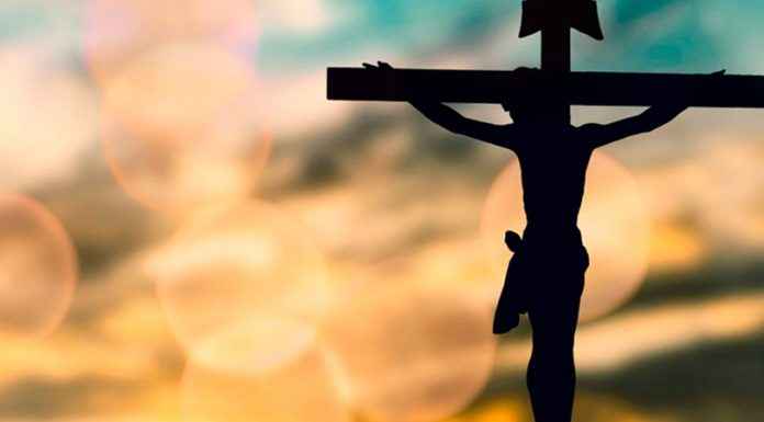 O que é ser Santo? | CFFB Conferência da Família Franciscana do Brasil